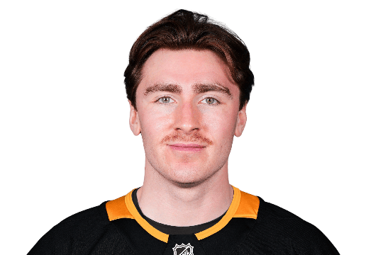 Stats for player Dewar, Connor #24 (LW) - Toronto Maple Leafs - 2024 ...