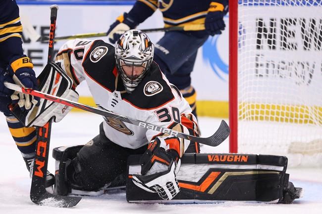 Hockey News - Ducks goalie Ryan Miller at ease entering twilight of career