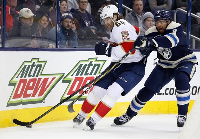 Hockey News - NHL Capsules